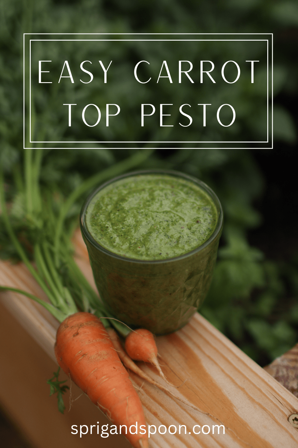 Easy Carrot Top Pesto (Vegan) | Sprig & Spoon