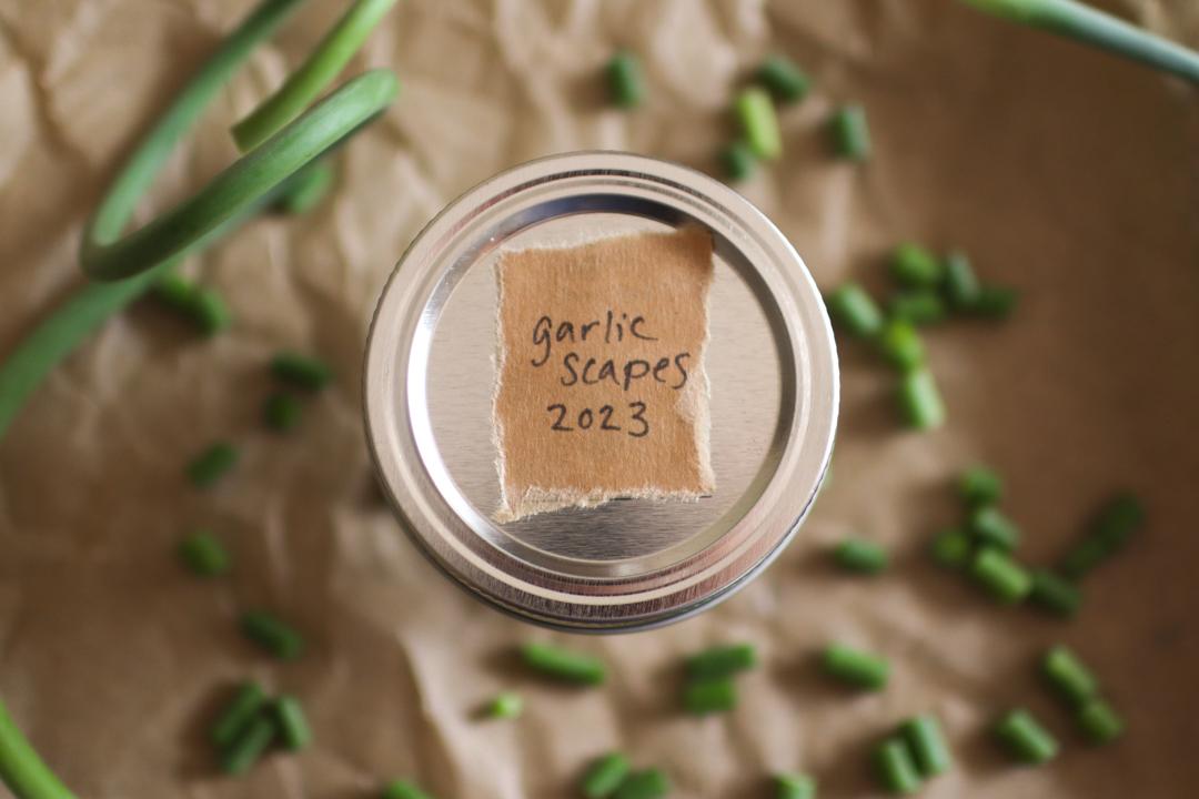 How to Freeze Garlic Scapes: 3 Easy Preservation Methods | Sprig & Spoon