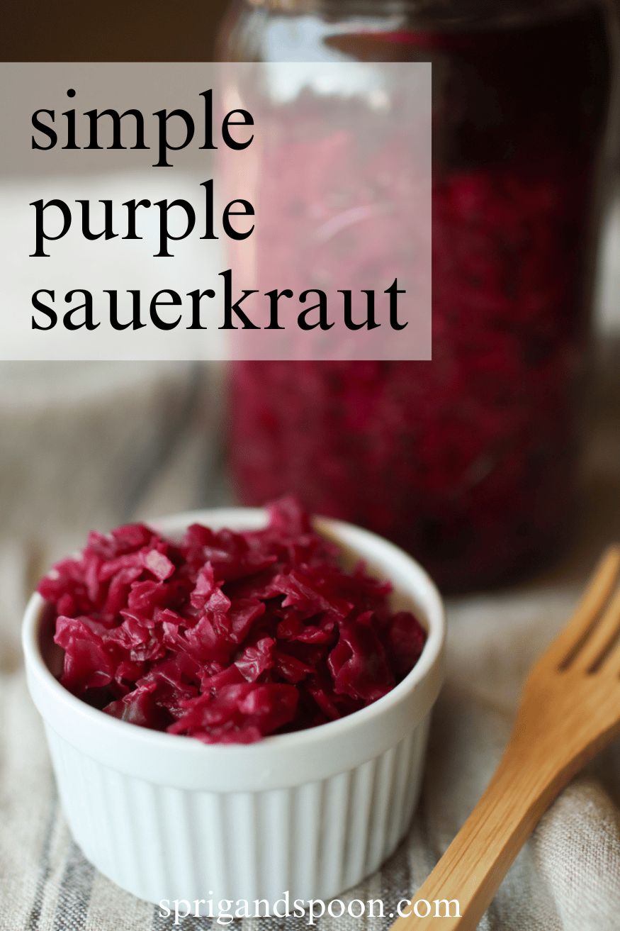 Fermented Red Cabbage: Easy Homemade Sauerkraut Recipe | Sprig & Spoon