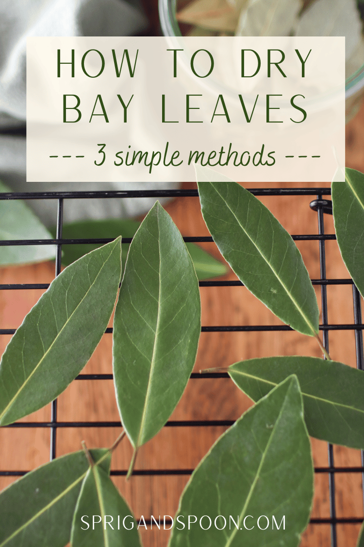 How to Dry Bay Leaves: 3 Easy Methods for Drying | Sprig & Spoon