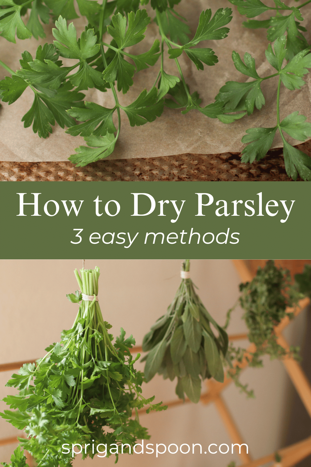 How to Dry Parsley in the Oven: Easy Step-by-Step Guide | Sprig & Spoon