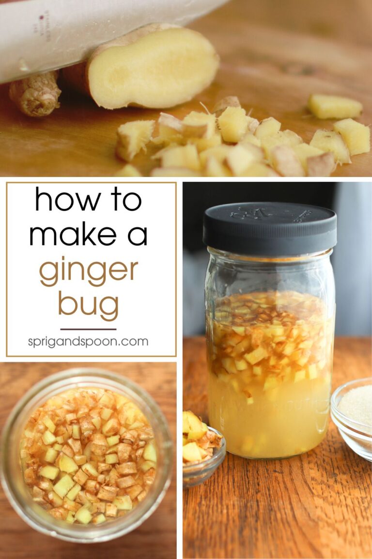 Simple Guide to Make a Ginger Bug for Fermented Sodas | Sprig & Spoon