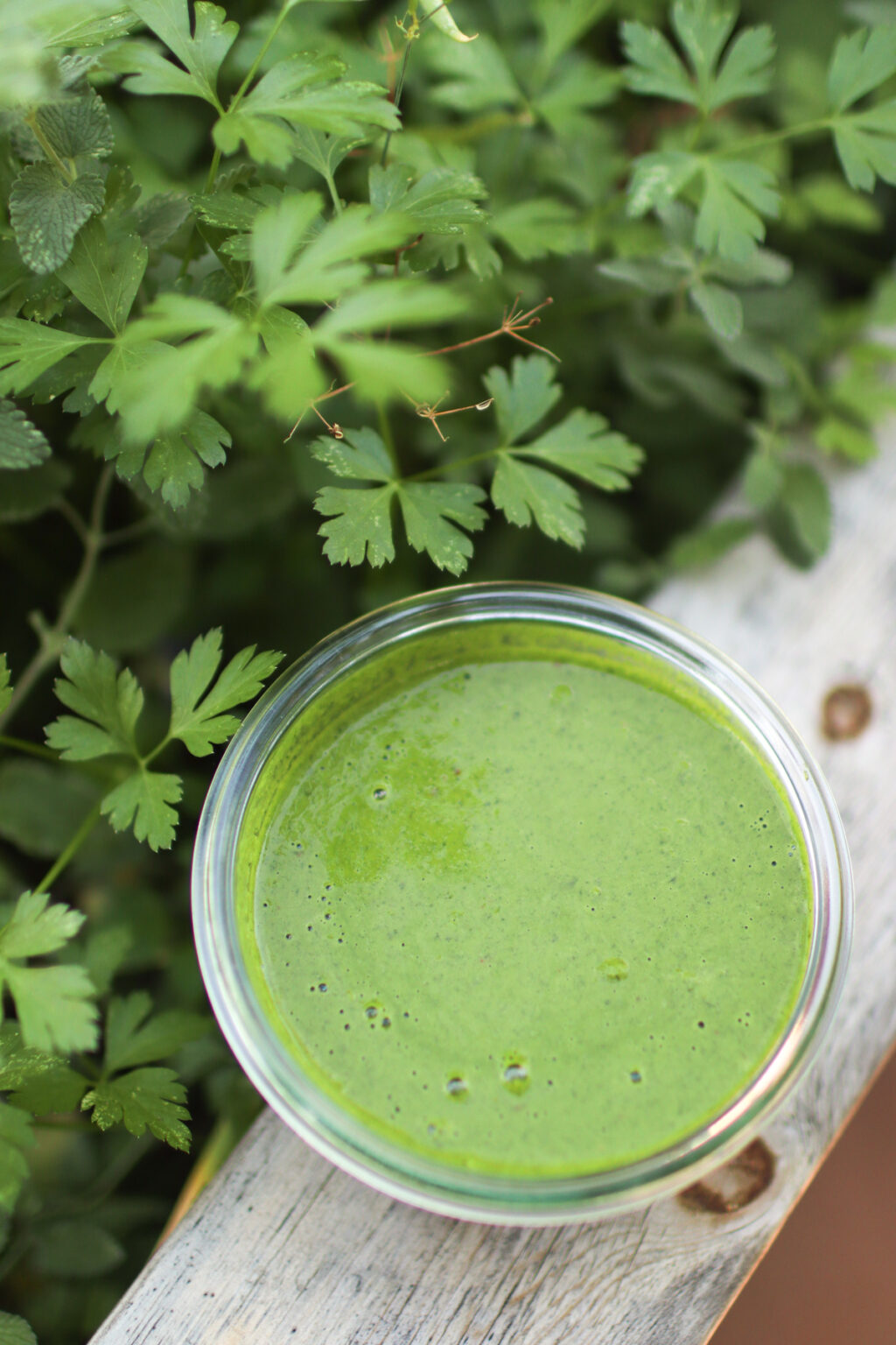 Fresh Herb Sauce | Easy Recipe That Goes on Everything | Sprig & Spoon