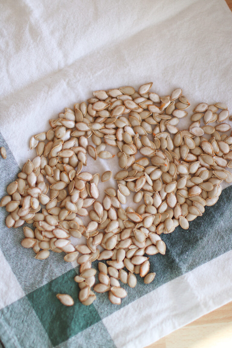 Easy Roasted Butternut Squash Seeds | Sprig & Spoon