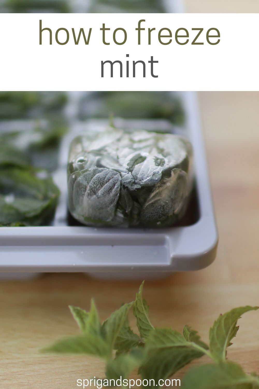 How to Freeze Mint (3 easy methods) | Sprig & Spoon