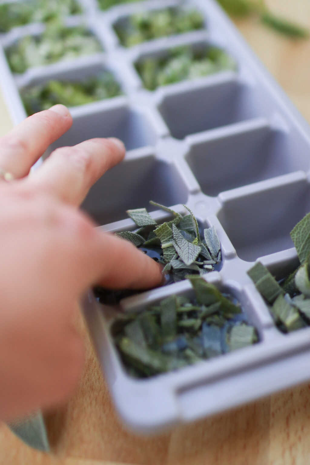 How to Freeze Sage | Simple Preservation | Sprig & Spoon