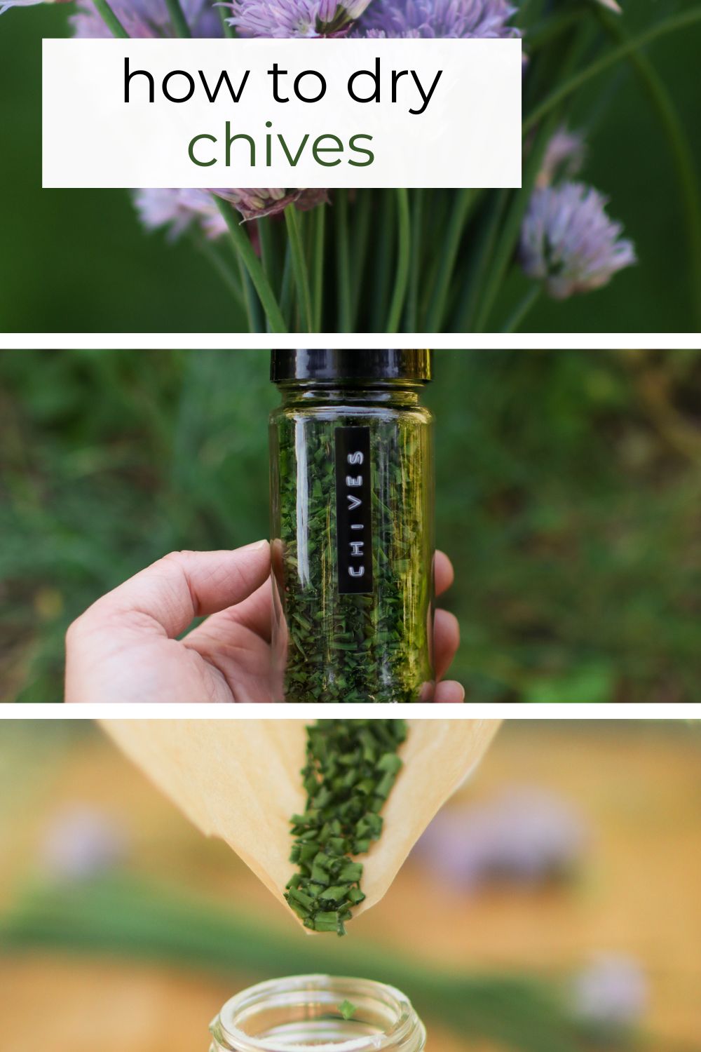 How to Dry Chives the Easy Way | Sprig & Spoon