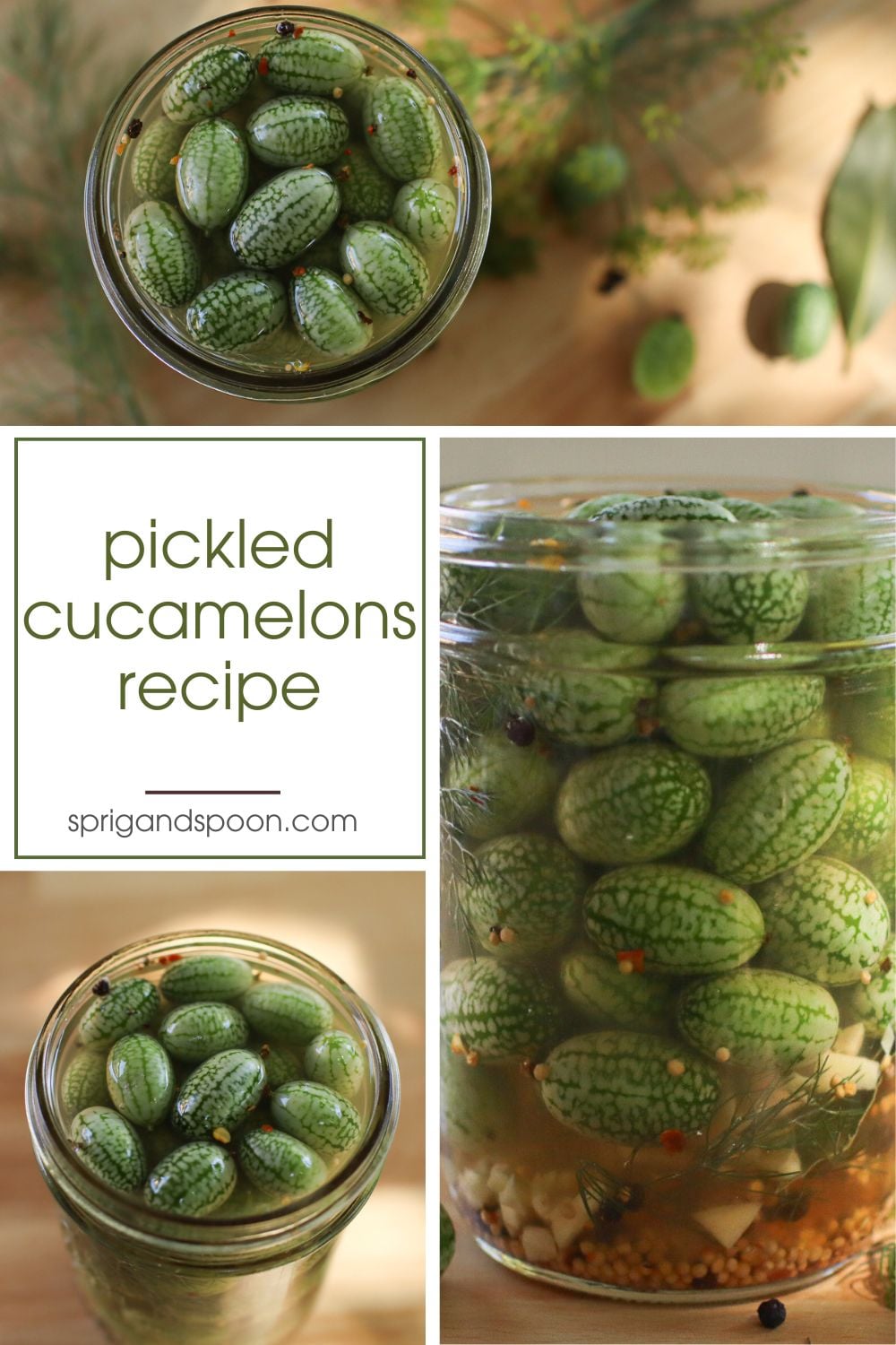 Cucamelon Pickles | Sprig & Spoon